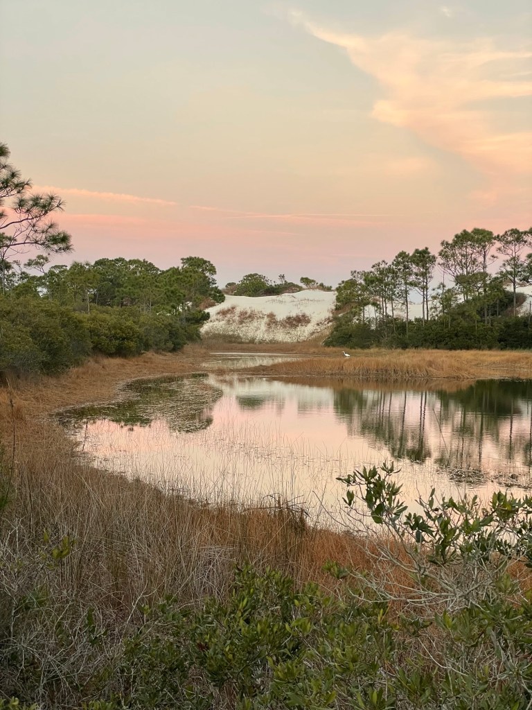 La Florida – HMS Beangle