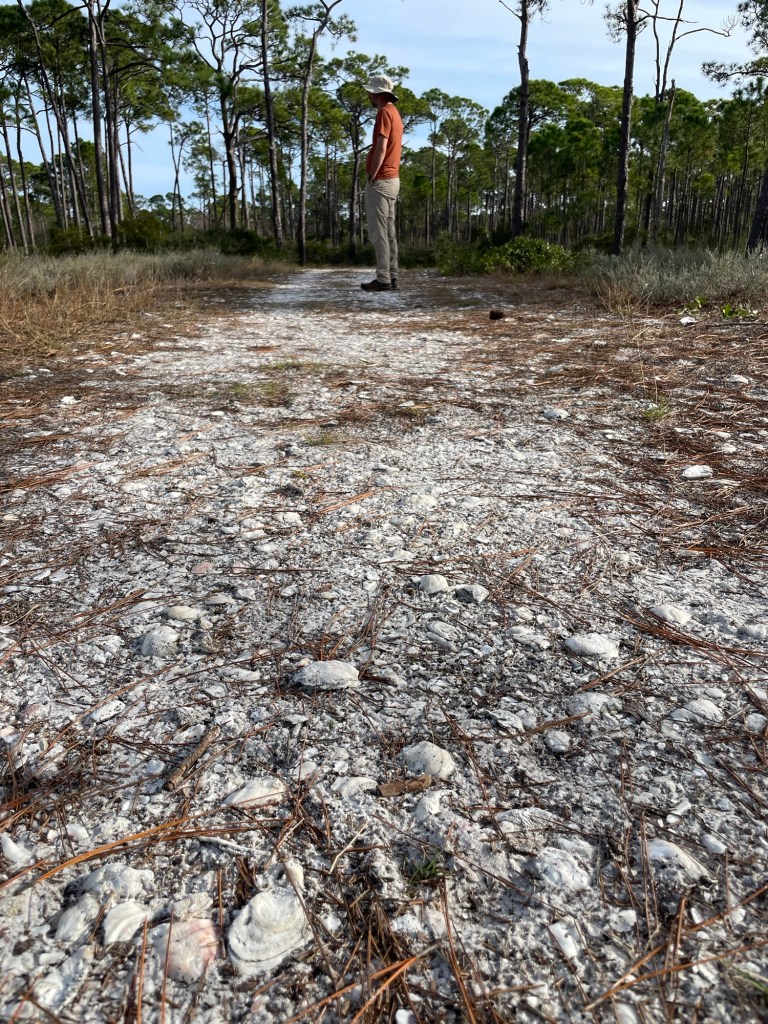 La Florida – HMS Beangle